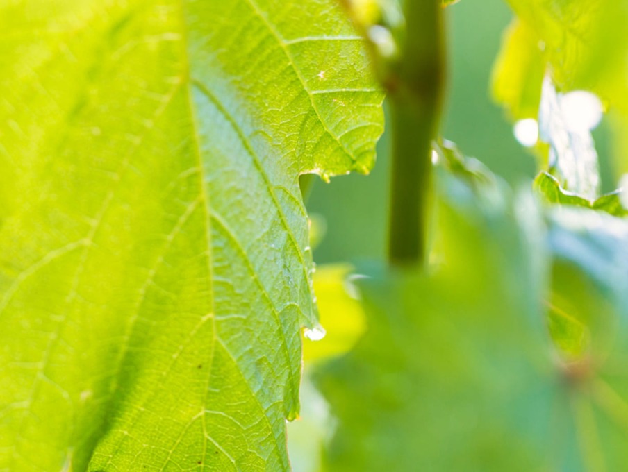 Invercargill - Farm Source Invercargill - BA Pumps & Sprayers