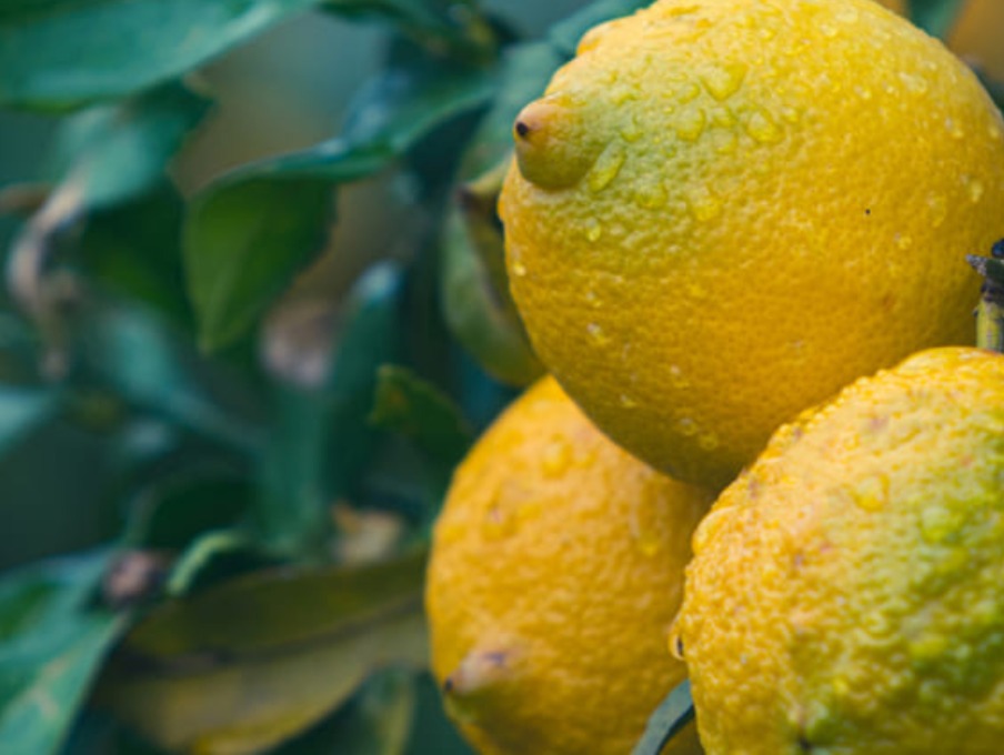 Hamilton - Farm Source Hamilton - BA Pumps & Sprayers