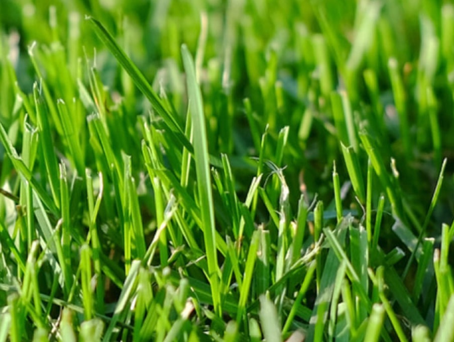 Invercargill - Farm Source Invercargill - BA Pumps & Sprayers