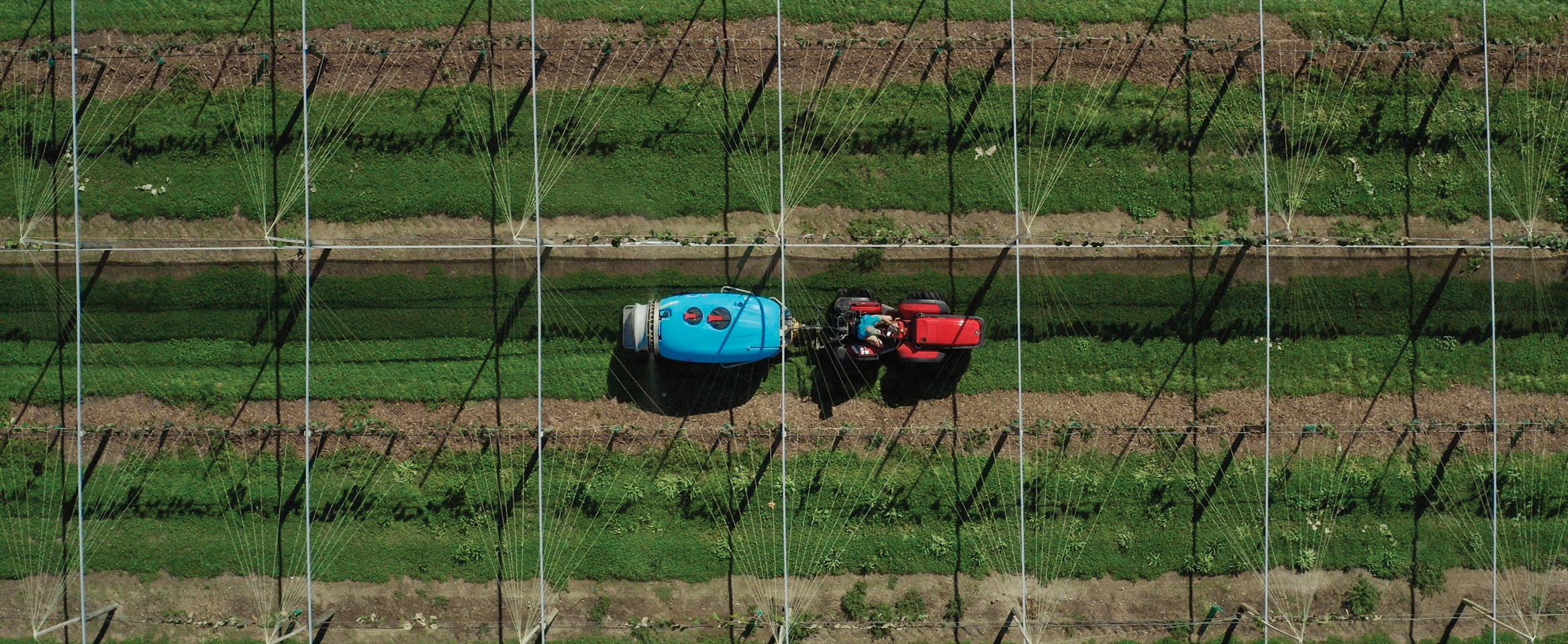 Growers blown away by outstanding results of BA Orchard Sprayer - BA ...